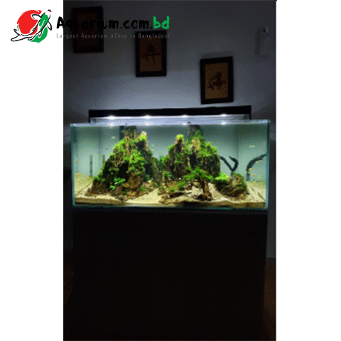 48*18*24 Crystal Glass Tank With Full setup & Stand ( 12mm) – Aquarium ...
